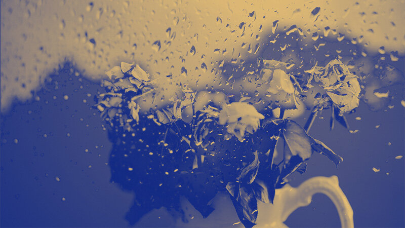 Hope and Obedience | Henry Center